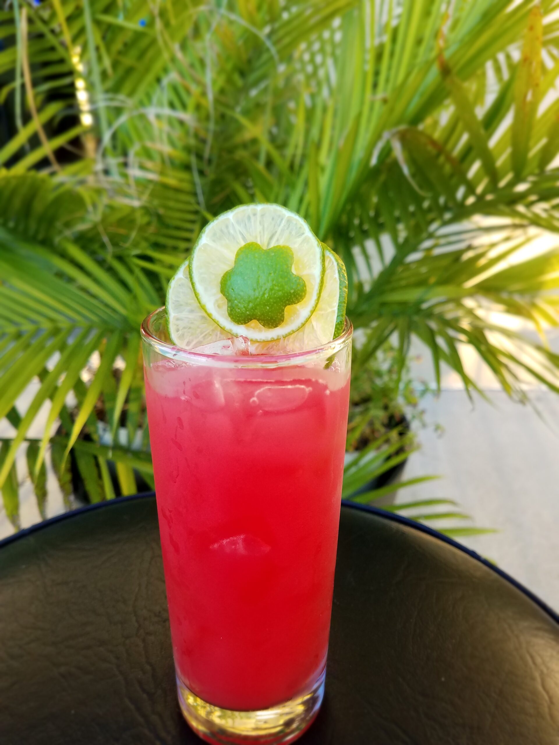 Introducing My *Summer Crush* – a Tantalizing Late Summer Cocktail ... Introducing My *Summer Crush* – a Tantalizing Late Summer Cocktail ...